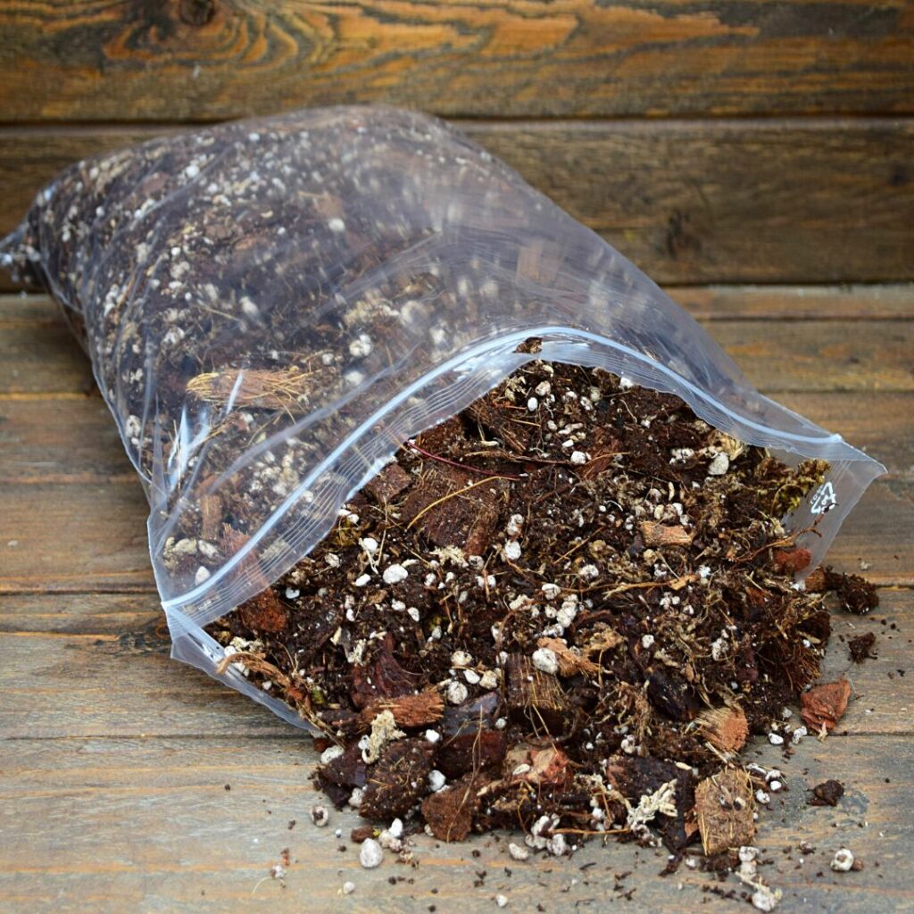 Substrat pour Nepenthes & plantes épiphytes (nouvelle formule) – 3L ...