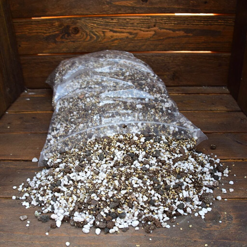 Substrat - Les Dents de la Terre