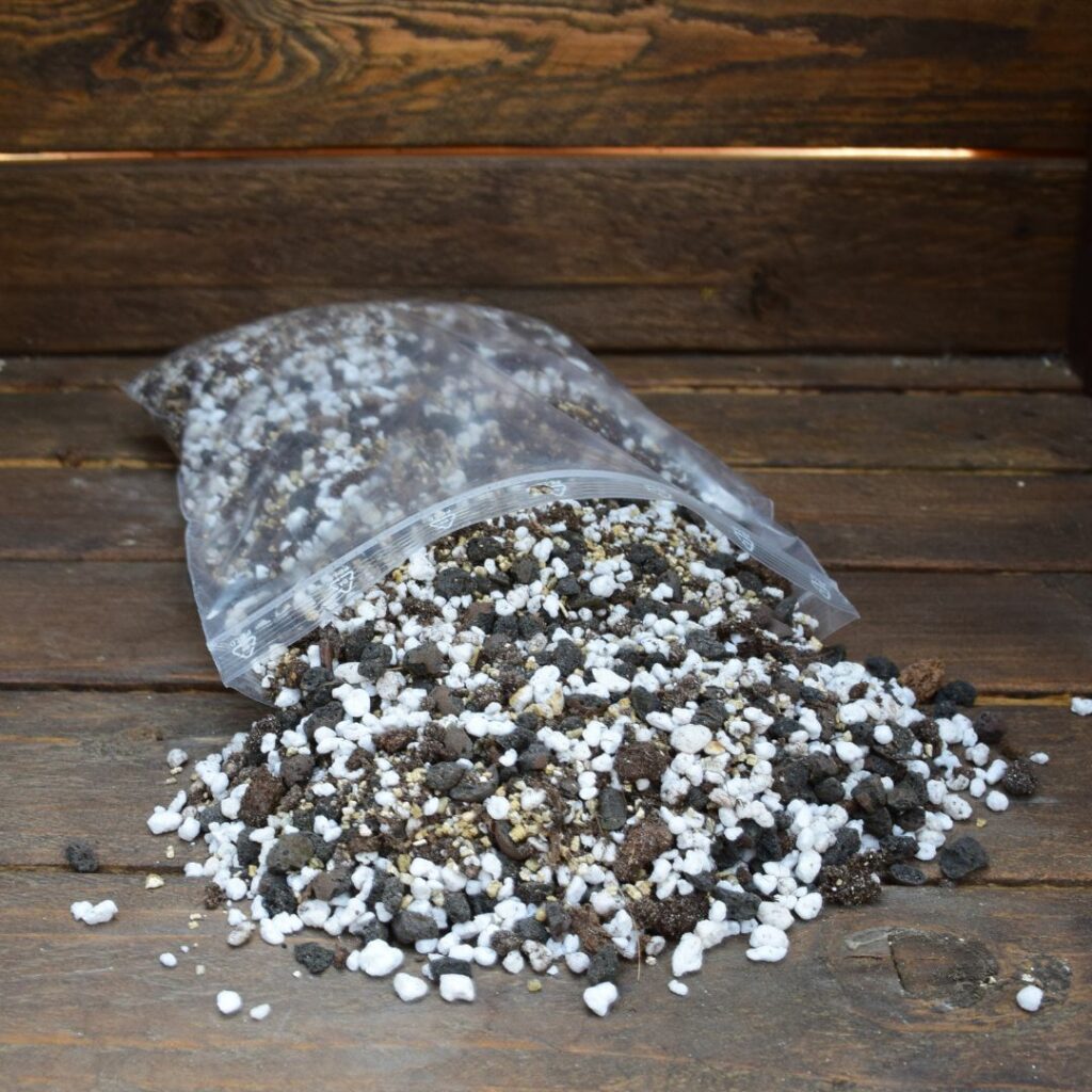 Substrat - Les Dents de la Terre